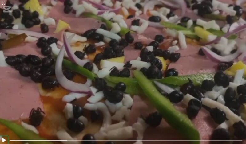 Guatemalteco crea las "Zompopopizzas"