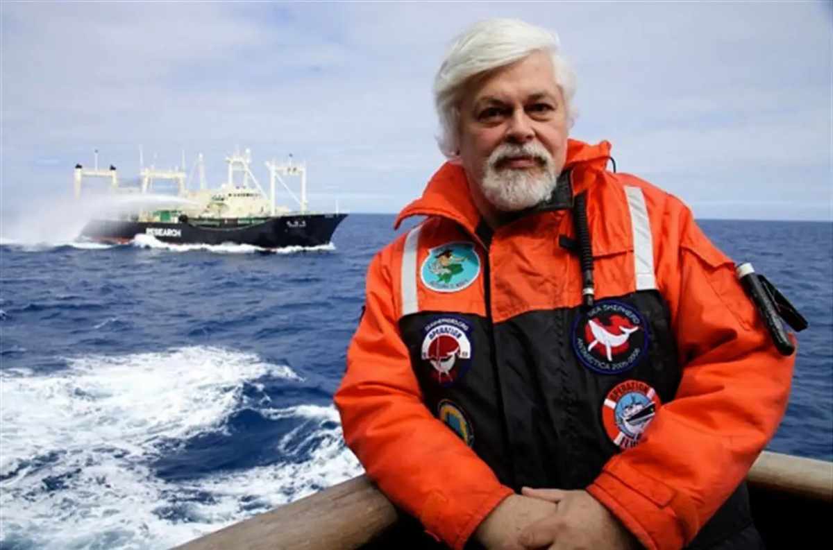 Japón mantiene orden de arresto contra ecologista Paul Watson a pesar ...